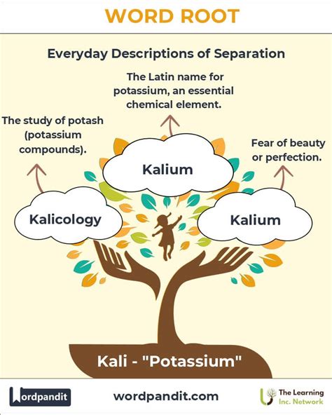 Word Root Kali Wordpandit