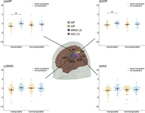 Hemodynamic Activity While The Participants Were Performing The Size Download Scientific