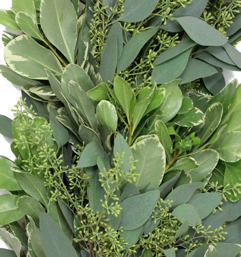 Greenery Daisydiyflowers