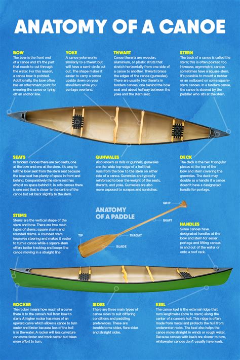 Canoeing And Kayaking Explained At Robert Choate Blog