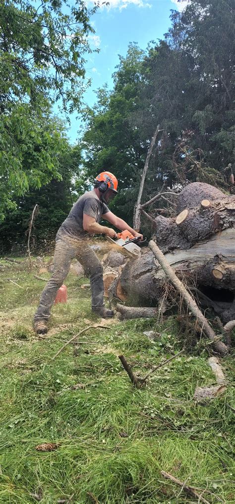 Its Done🇺🇸 ~ 132 Years Old ~ Devon Franks Tree Services Facebook