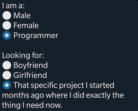 The True Developer Dating Profile ·