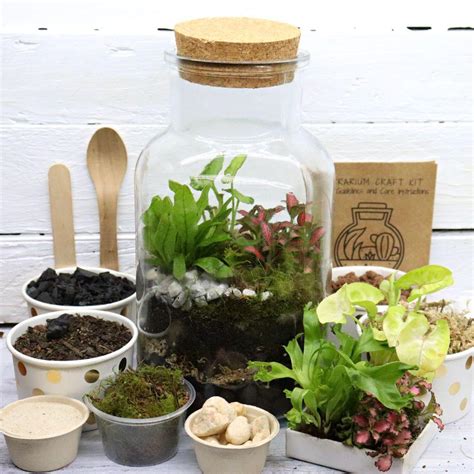 Closed Top Diy Terrarium Kits Closed Terrarium Plants For Sale Flower And Twig Nursery