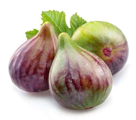 Fig Fruits With Fig Leaves Isolated On White Background Stock Image Image Of Leaves Food