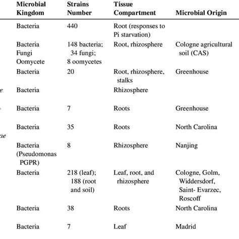 Collection Of Some Microbial Strains Used In Syncom Research Download