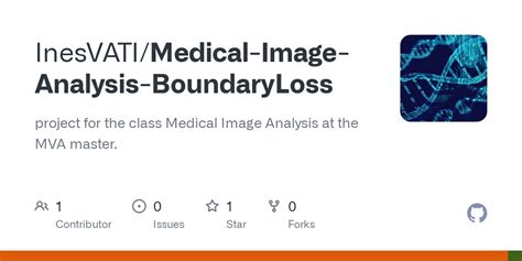 Github Inesvatimedical Image Analysis Boundaryloss Project For The Class Medical Image