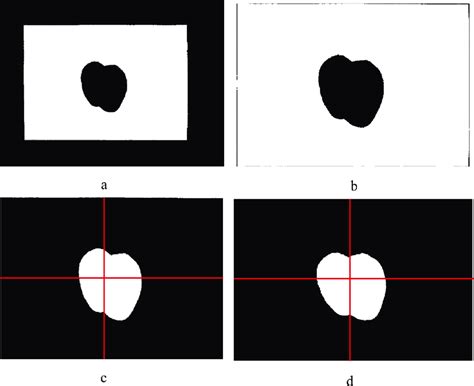Image Correction A Image After Implementing Geometrical Distortion Download Scientific