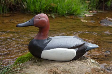Duck Decoy Layout Patterns At Maddison Cadman Blog