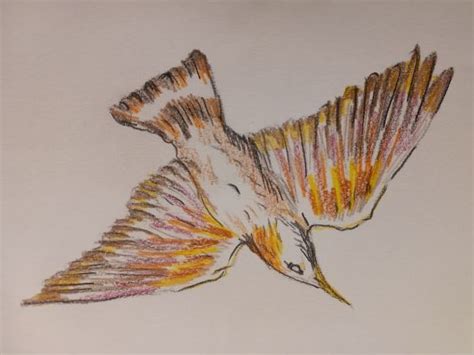 Classroom Behaviour Help Positive Behaviour Strategies Handouts