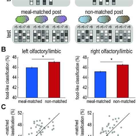Fmri Ensemble Patterns In Olfactorylimbic Areas And Insula