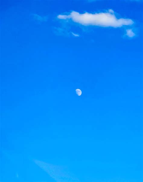 20221005181219 Lilly Santangelo Flickr