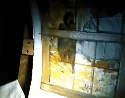 Daily Movie ‘the Taking Of Debra Logan Ifunny