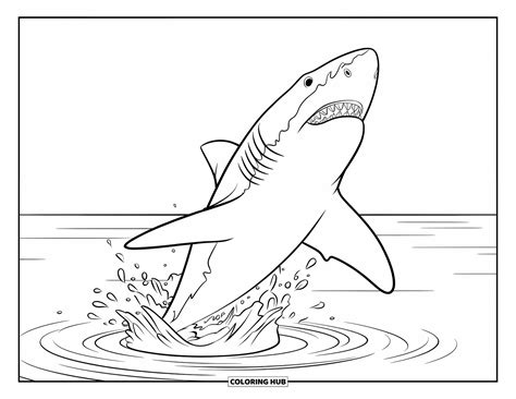 95 Dibujos De Tiburones Para Colorear Para Niños Y Adultos Gratis
