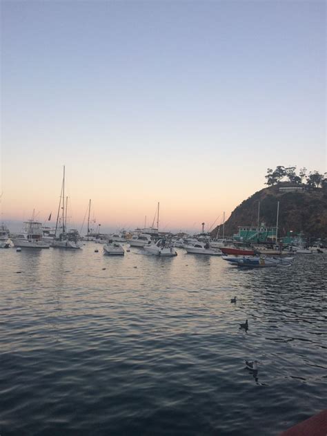 Catalina Island Catalina Island Catalina Sunset