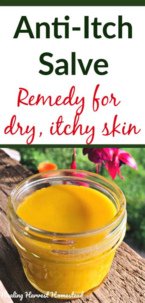 How To Make An Herbal Anti Itch Salve Or Balm Great For Bug Bites Dry