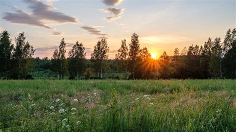 Usda Accepts Nearly 1 8m Acres Through Crp Mid West Farm Report