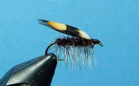 Flytying New And Old Jassid