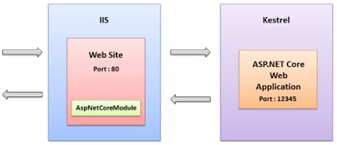 How To Do Net Core Project Hosting In Iis