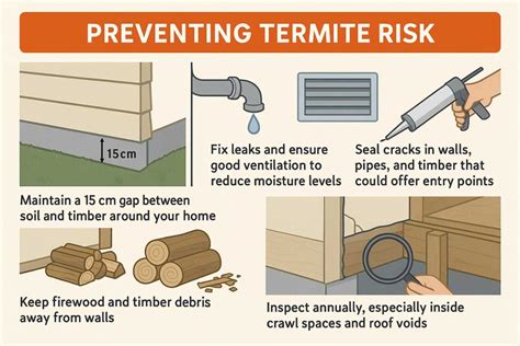 How To Get Rid Of Termites Signs And Professional Termite Control