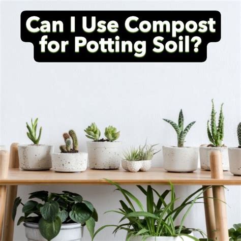 Can I Use Compost For Potting Soil