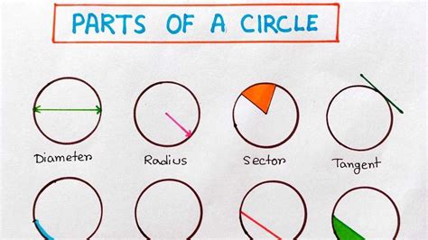Diagram Of Labeled Parts Of A Circle