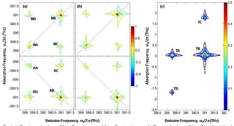 Figure 1 From Two Dimensional Fourier Transform Spectroscopy Of