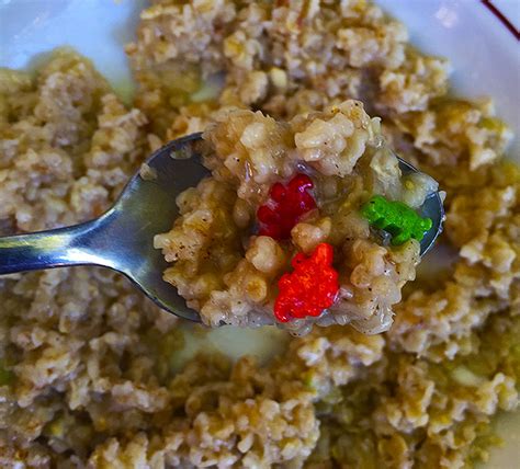 Dinosaur Eggs Oatmeal