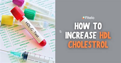 How To Increase Hdl Cholesterol Effective Ways To Improve How To Increase Hdl Cholesterol Effective Ways To Improve