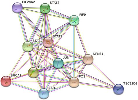 A Summary Of Critical Hubs A Module Stat1 Stat3 Rela And Jun And