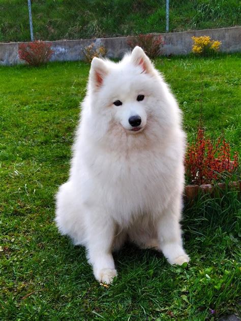 Martyna Kopaczewski Strefa Serca Przewodnictwo Wsparcie Terapia Głębi Każdy Z Nas Ma Taki