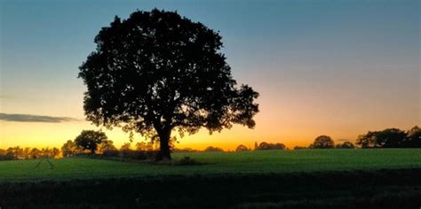 Daniels Fundraiser For Young Minds Trust Justgiving Tim Checketts