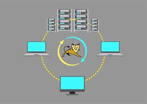 What Is Tomcat What Is Tomcat Used For Complete Guide