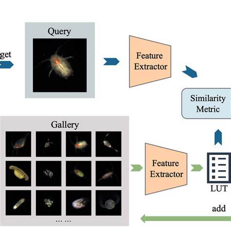 The Isplanktonir Framework For Automatic Recognition Of In Situ Marine Download Scientific