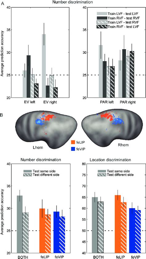 A Classification Performance For The Left And Right Early Visual Download Scientific Diagram