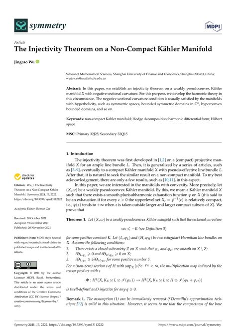 Pdf The Injectivity Theorem On A Non Compact Kähler Manifold
