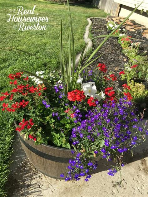 Red White And Blue Flower Beds Patriotic Loose Flowers Baltimore