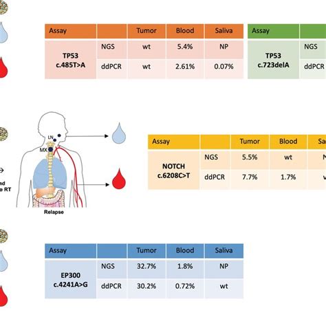 Validation Of Selected Somatic Mutations Detected By Ngs Tst 170 Download Scientific Diagram