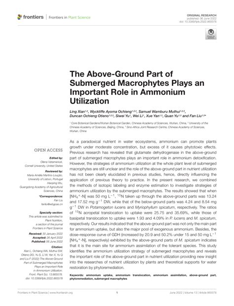 Pdf The Above Ground Part Of Submerged Macrophytes Plays An Important