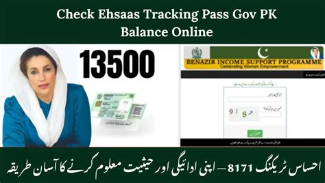 Check Ehsaas Tracking Pass Gov Pk Balance Online 2025 — 8171 Cnic