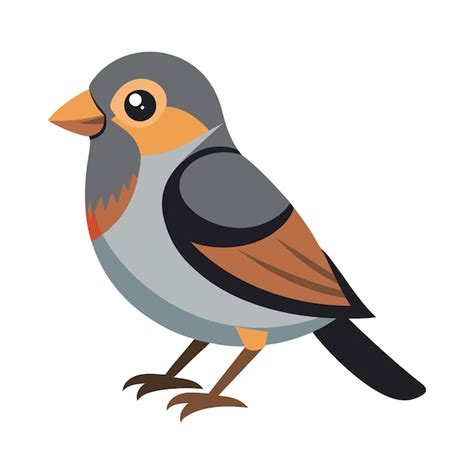 Premium Vector Colorful Bird Vector Art Illustration