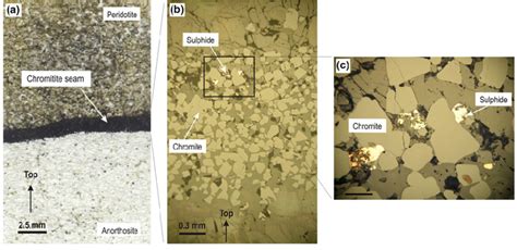 Petrographic Features Of Pge Rich Chromitite Seam At Unit Boundary