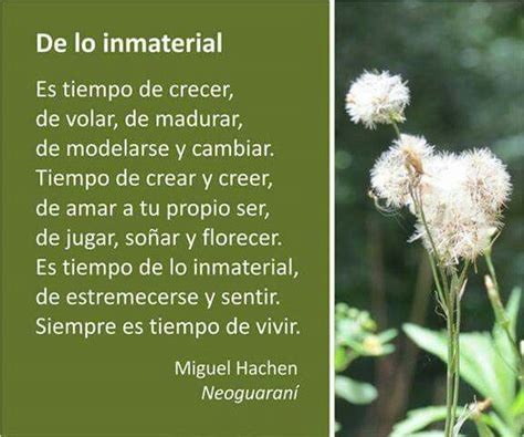 Dandelion Identification Guide