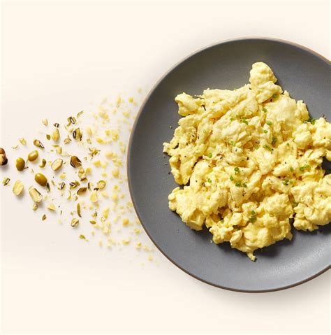 Is Animal Testing Effective The Limits Of Lab Monkey Experiments