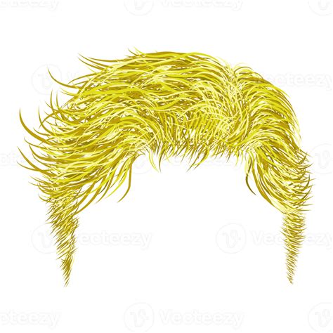 Illustration Of A Cool Male Yellow Hair Style 24135457 Png