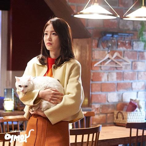 Cat Lovers Gather Here Are 4 Korean Dramas For Cat Lovers With