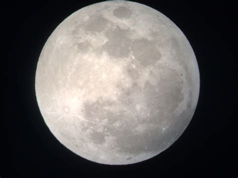 Profili Di Donne Sulla Luna Alla Biblioteca Delle Oblate Firenze 7