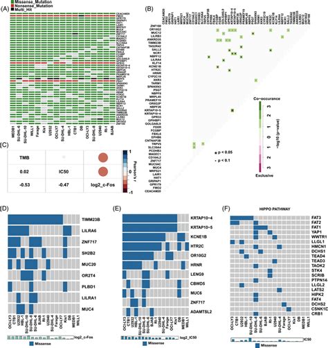 Whole‐exome Sequencing Analysis Of The Association Between Genetics And