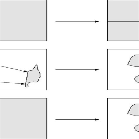 Pdf A Review On The Effect Of Habitat Fragmentation On Ecosystem