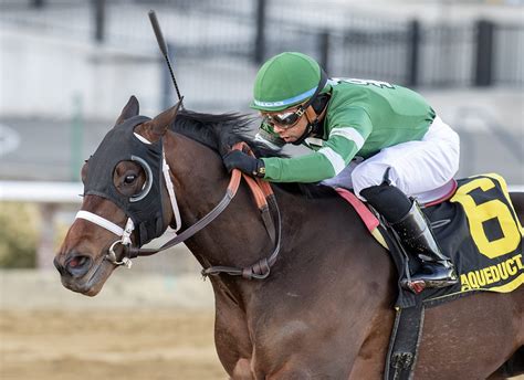 Dutrow Eyes Wood With Captain Cook Mcafee