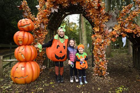 Seasonal Events Audley End Miniature Railway